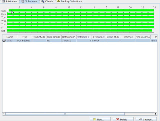 Remote Infrastructure Management: NetBackup NDMP Backup Configuration