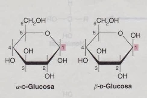 BIOLOGÍA CELULAR: febrero 2014
