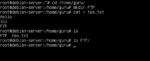 Instalasi dan Konfigurasi FTP Server pada Debian - Awonapa - Website dan Blogging