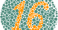 Color Blindness Test : Check your Color Vision Online