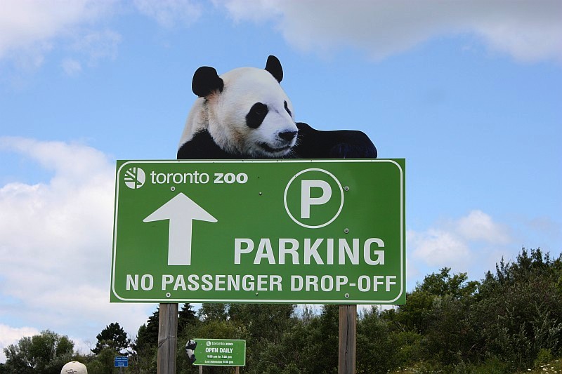 Mishy's Corner of the World: Exploring the Toronto Zoo
