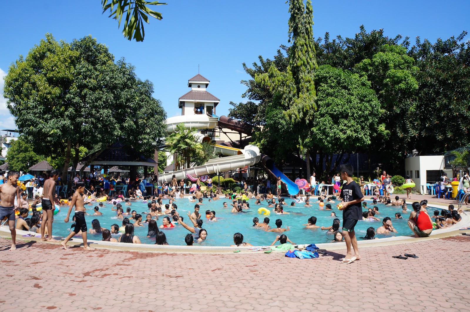 Rainforest Adventure Experience in Pasig ~ Wazzup Pilipinas News and Events