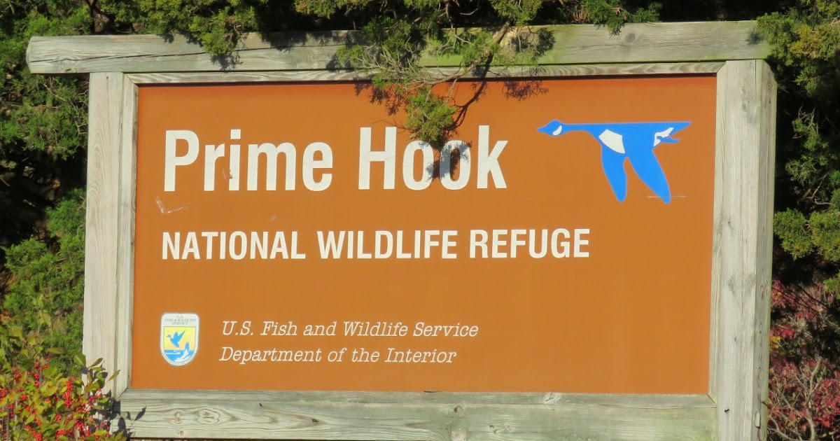 Gone Hikin': Prime Hook National Wildlife Refuge, DE