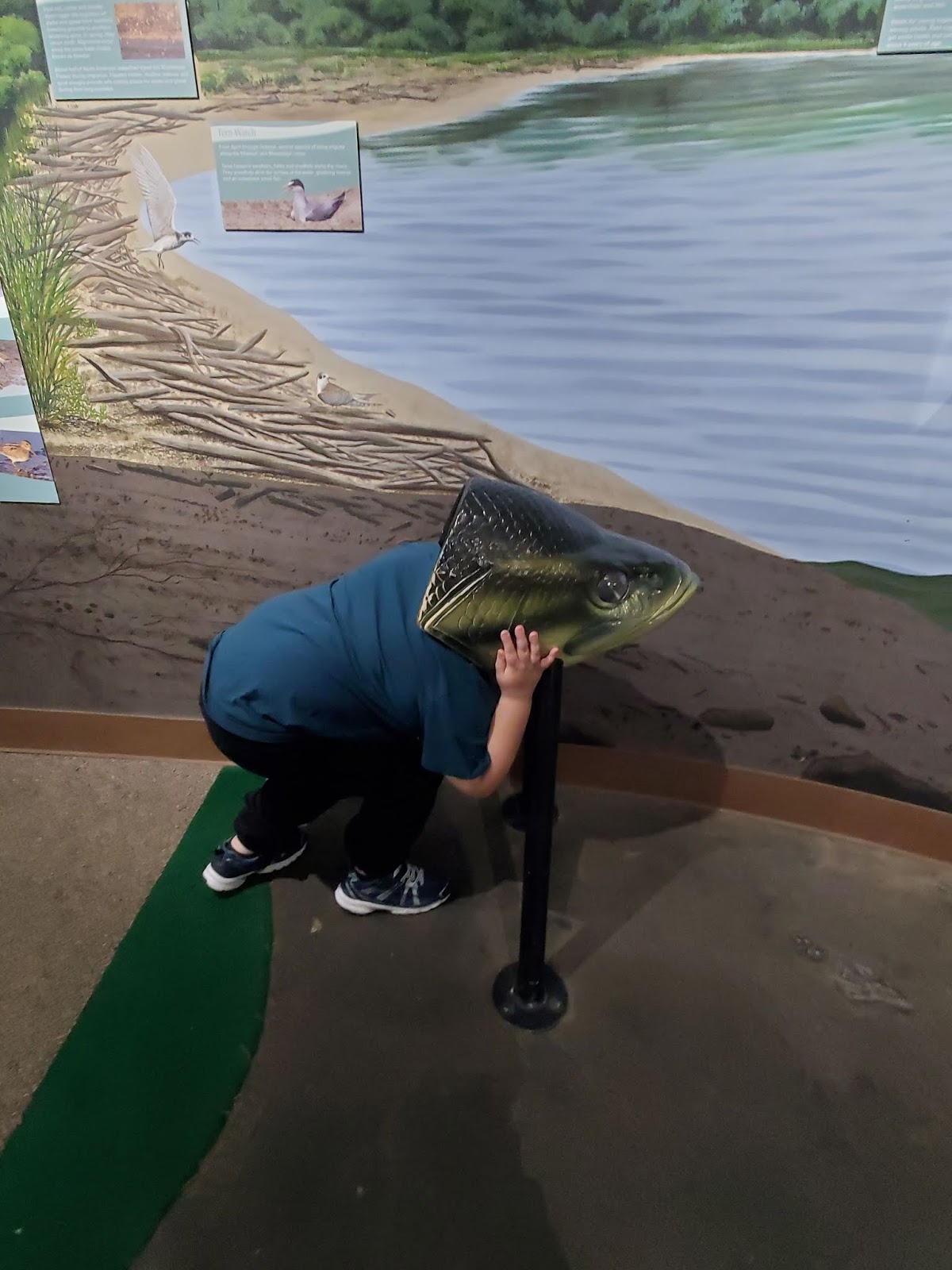 Play St. Louis: Powder Valley Nature Center, Kirkwood