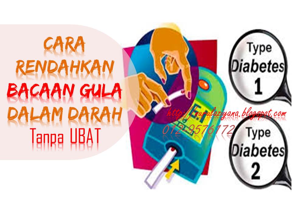 Cara Rendahkan Bacaan Gula Dalam Darah Tanpa Ubat - Story of Health ...