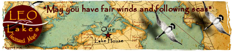 Leo Lakes: Large Lake House map for the lake house