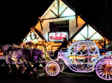 Carolina: Cruising Past 70: Adventures in Big Bear Lake, a Four-Season ...