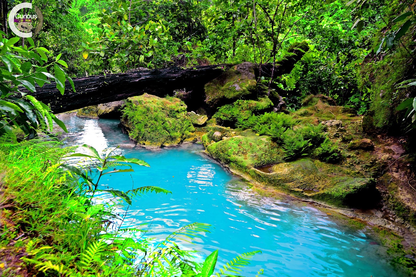 CuriousTraveler: Mag-Aso Falls in Kabankalan City