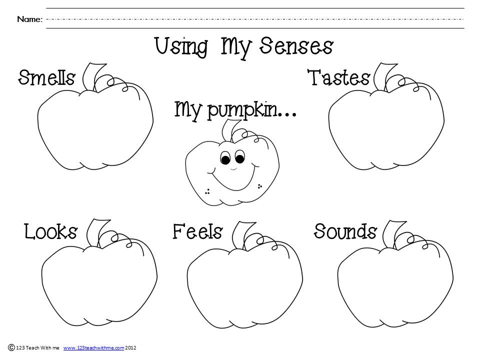 Five Senses Halloween
