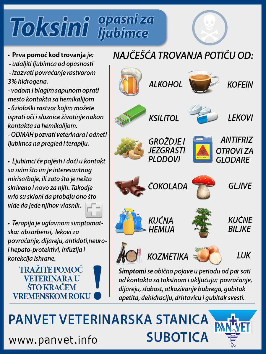 Toksini opasni za ljubimce - infografika ~ Panvet - moj veterinar