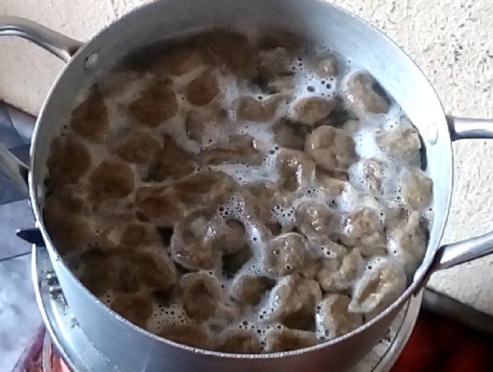 TOZALI: OUR INDIGENOUS DANWAKE