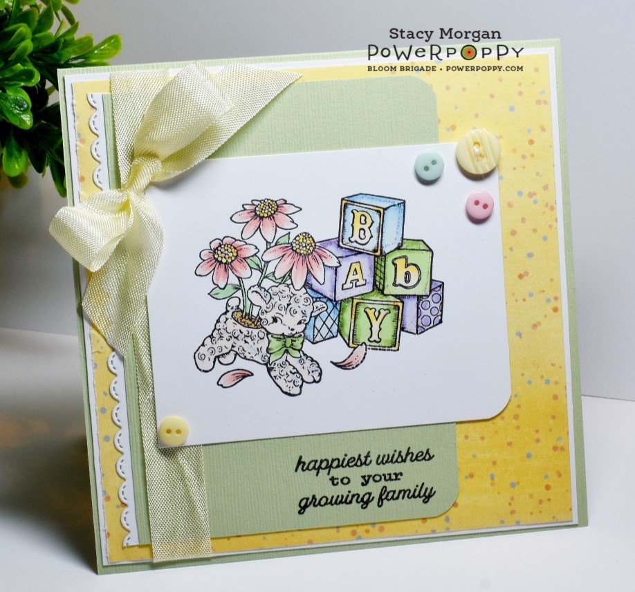 Twinshappy: Happiest Wishes baby