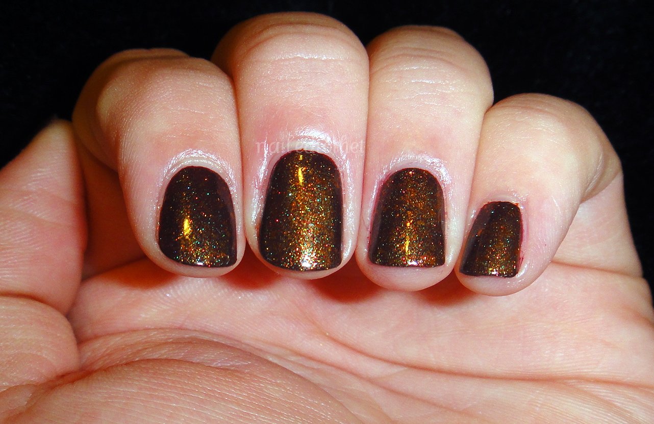 Nailed to the T: Zoya Anja & Nail-Venturous Rustic Remains