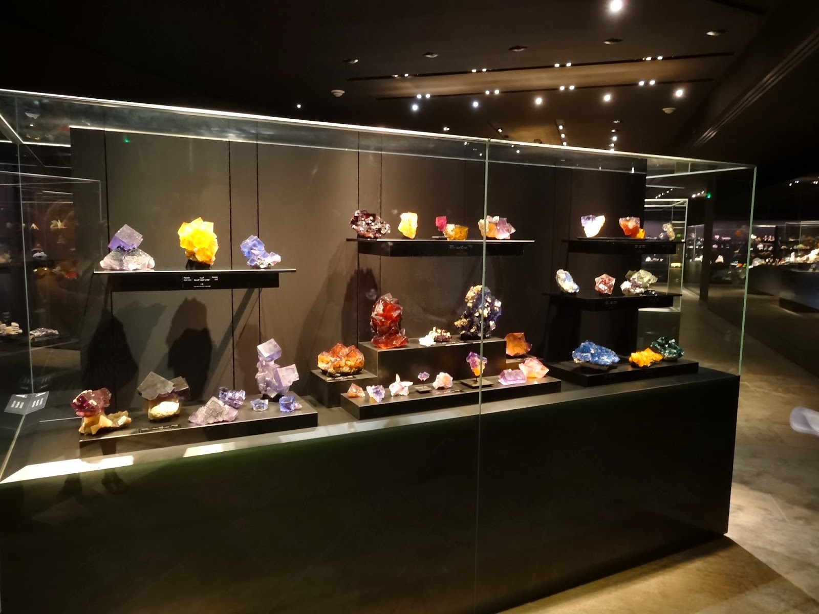 Natural History Museum of L.A. Minblog: Opening of the MIM museum in ...