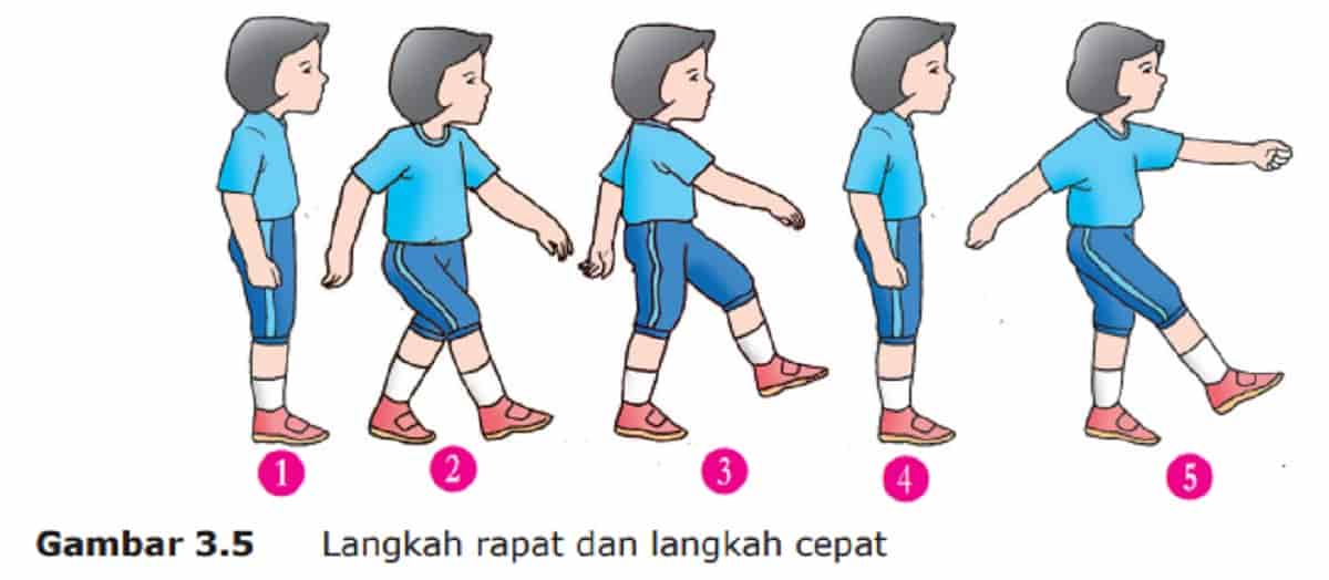 Sebutkan Variasi Gerak Berjalan Berdasarkan Langkah Biasa, Tegak, Rapat ...