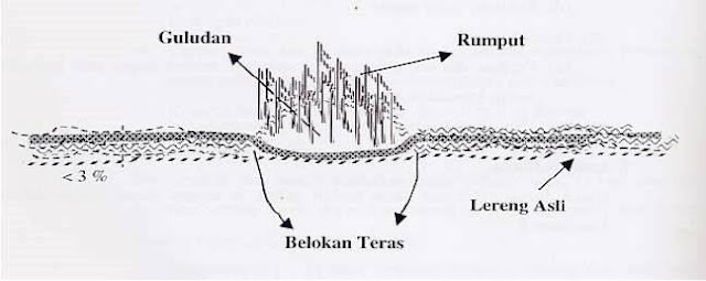 8 Jenis Terasering Berdasarkan Bentuk Dasarnya - Arsitur Studio