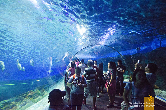 METRO MANILA | The Manila Ocean Park, Finally - Lakad Pilipinas