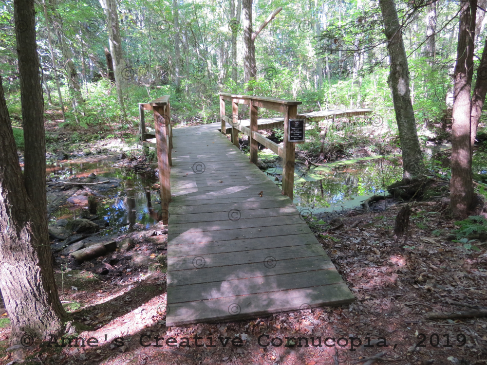 Anne's Creative Cornucopia: Streamside Trail Wood Bridge - Photograph