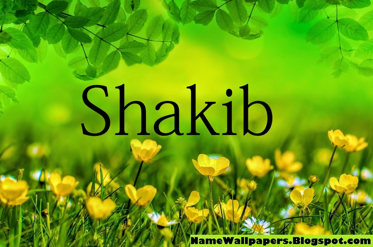 Shakib Name Wallpapers Shakib ~ Name Wallpaper Urdu Name Meaning Name ...