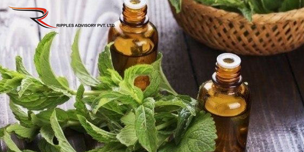Mentha Oil Futures Gain 0.58% On Upsurge In Demand - Today Commodity ...