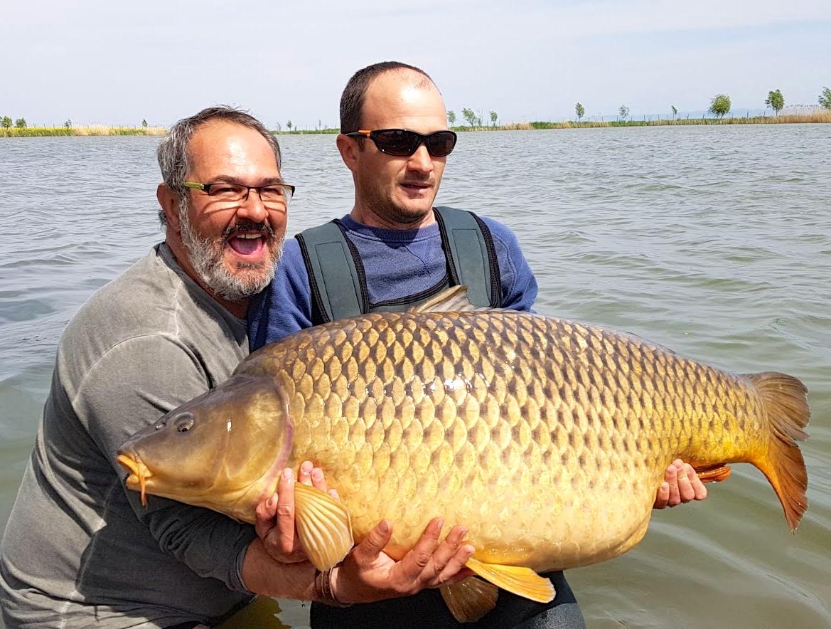 New common carp record for Romania weighs 34,65 kg