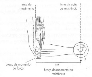 Portifólio Biomecânica : Torque