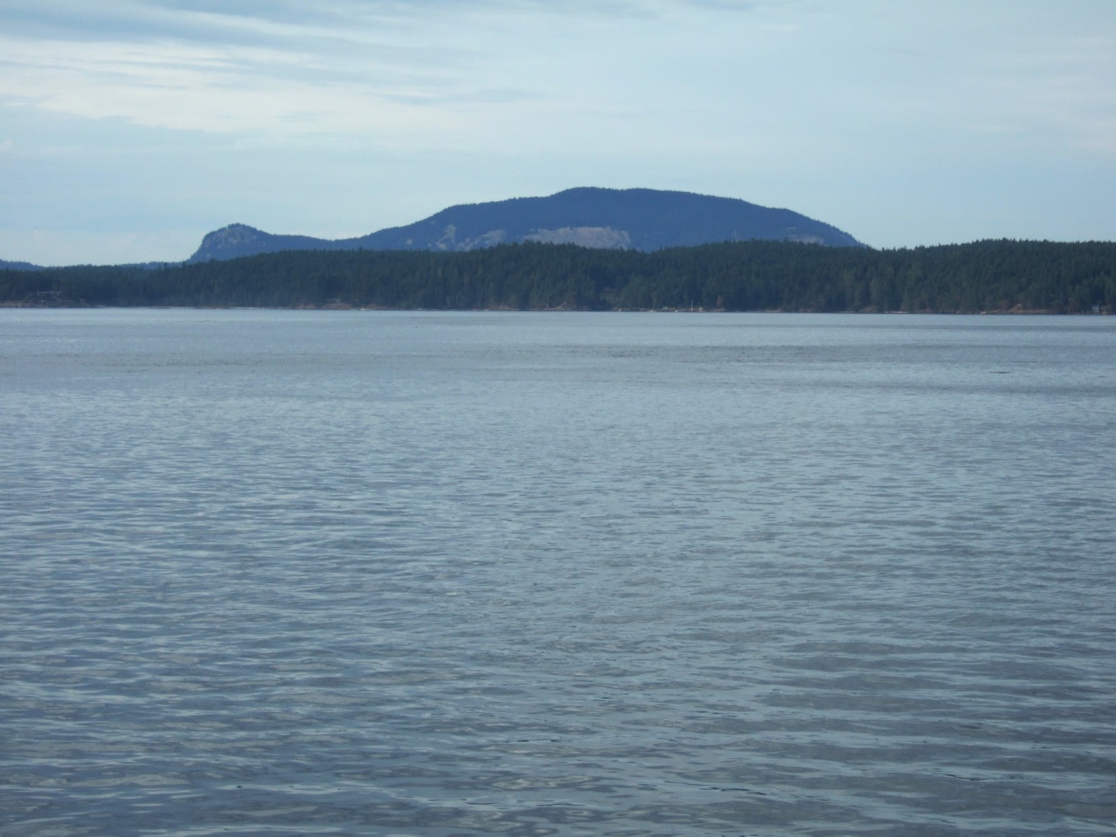 Reading the Washington Landscape: Turtleback Looks Like a Turtle
