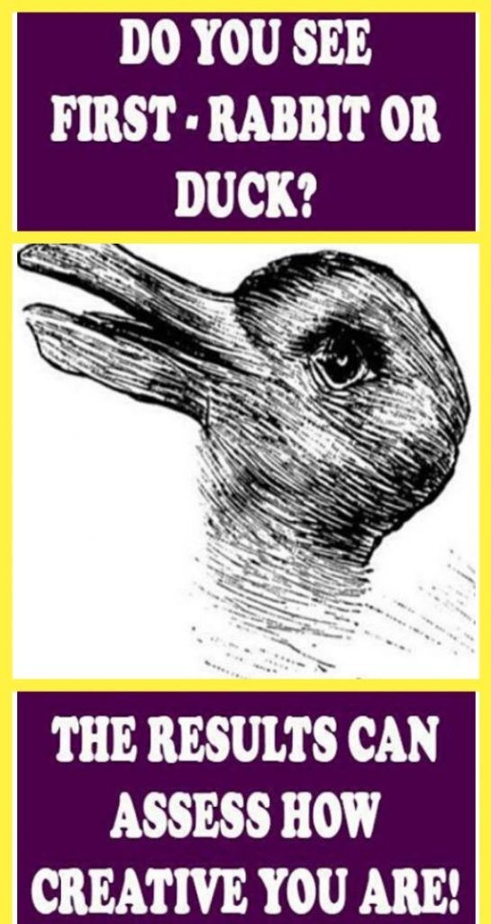 What Do You See First – Rabbit Or Duck? The Results Can Assess How ...