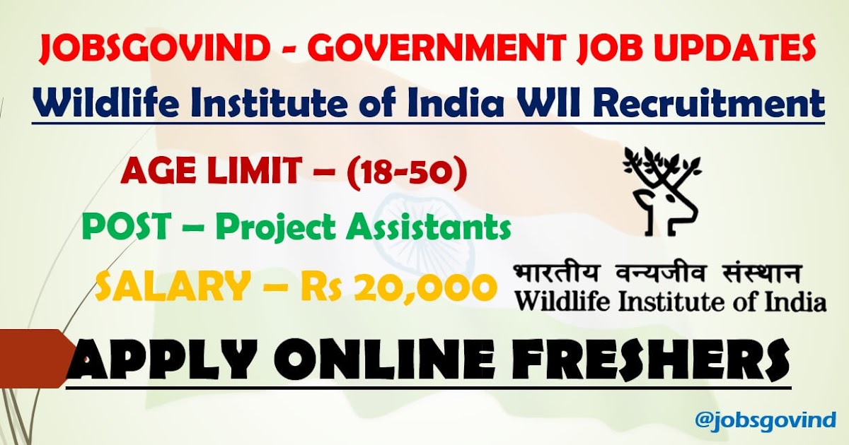 Wildlife Institute of India WII Recruitment 2021 for Project Assistants ...