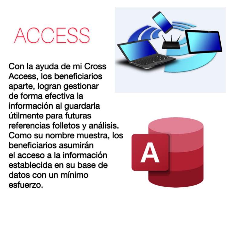 MICROSOFT ACCESS: Características de Microsoft Access