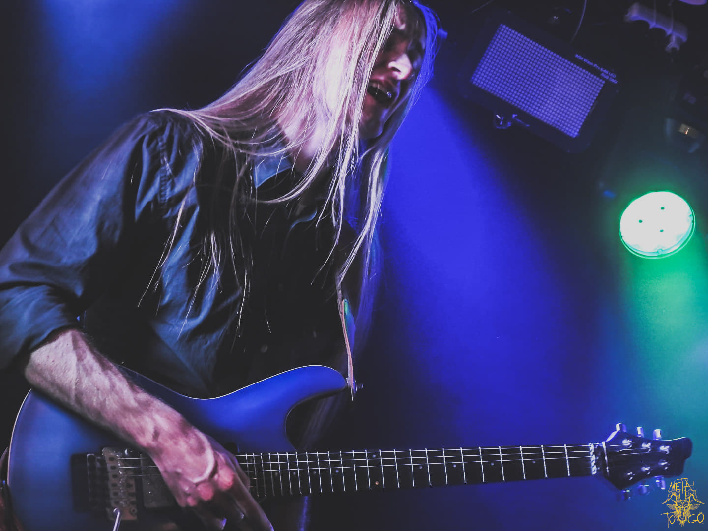 Feather Mountain: Nidus (Album review)