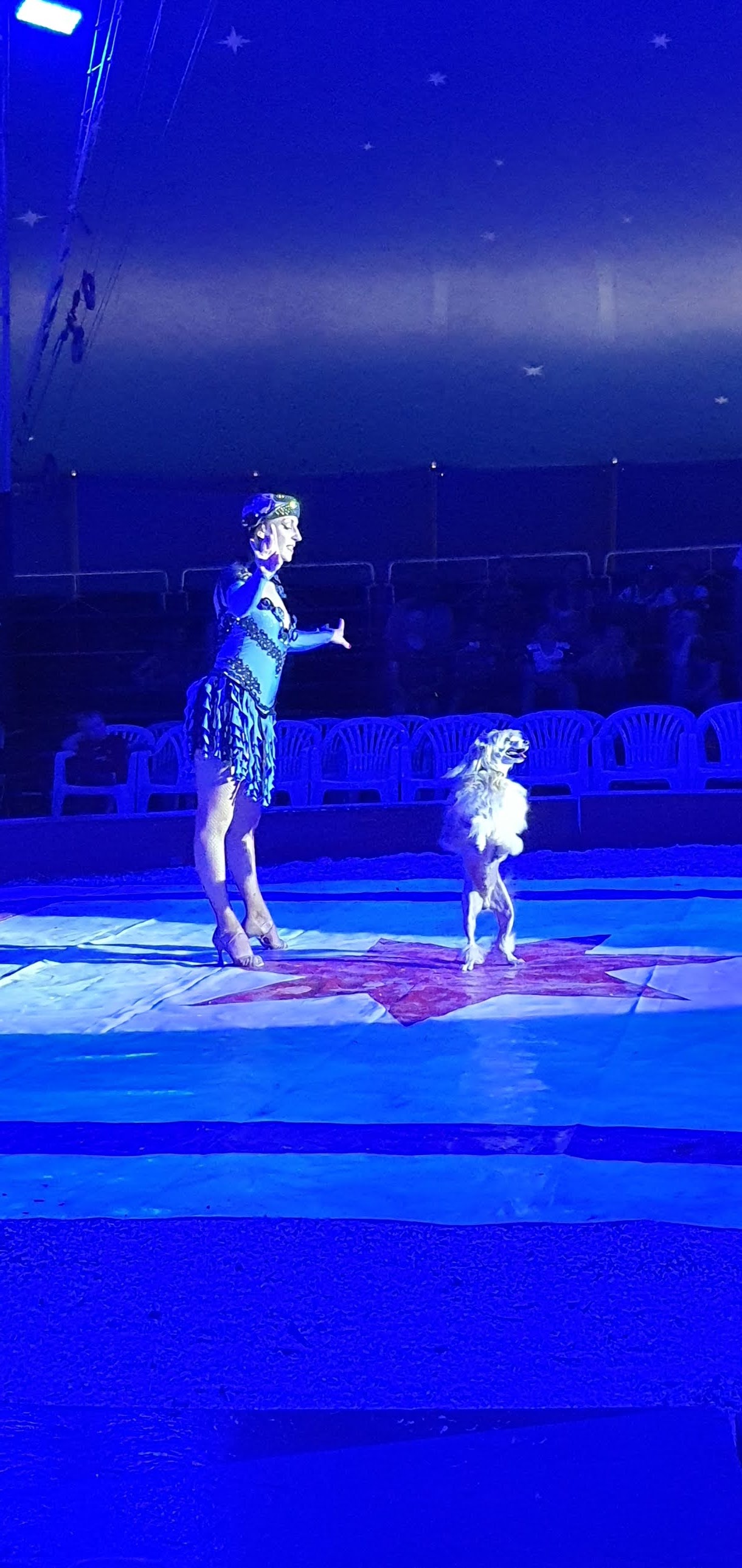 GALLERIE FOTOGRAFICHE: Circus Maramber (CH) | SCXS