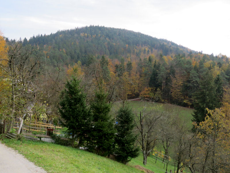 Tavanja po slovenskih hribih: Martinova pot