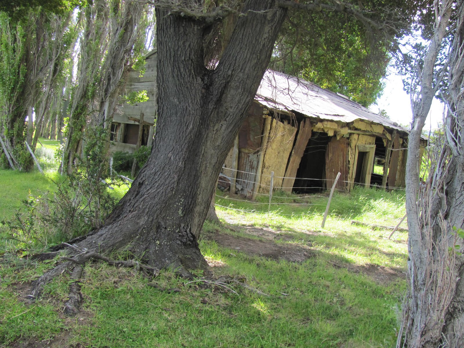 El GAUCHOGUACHO: Mi tapera