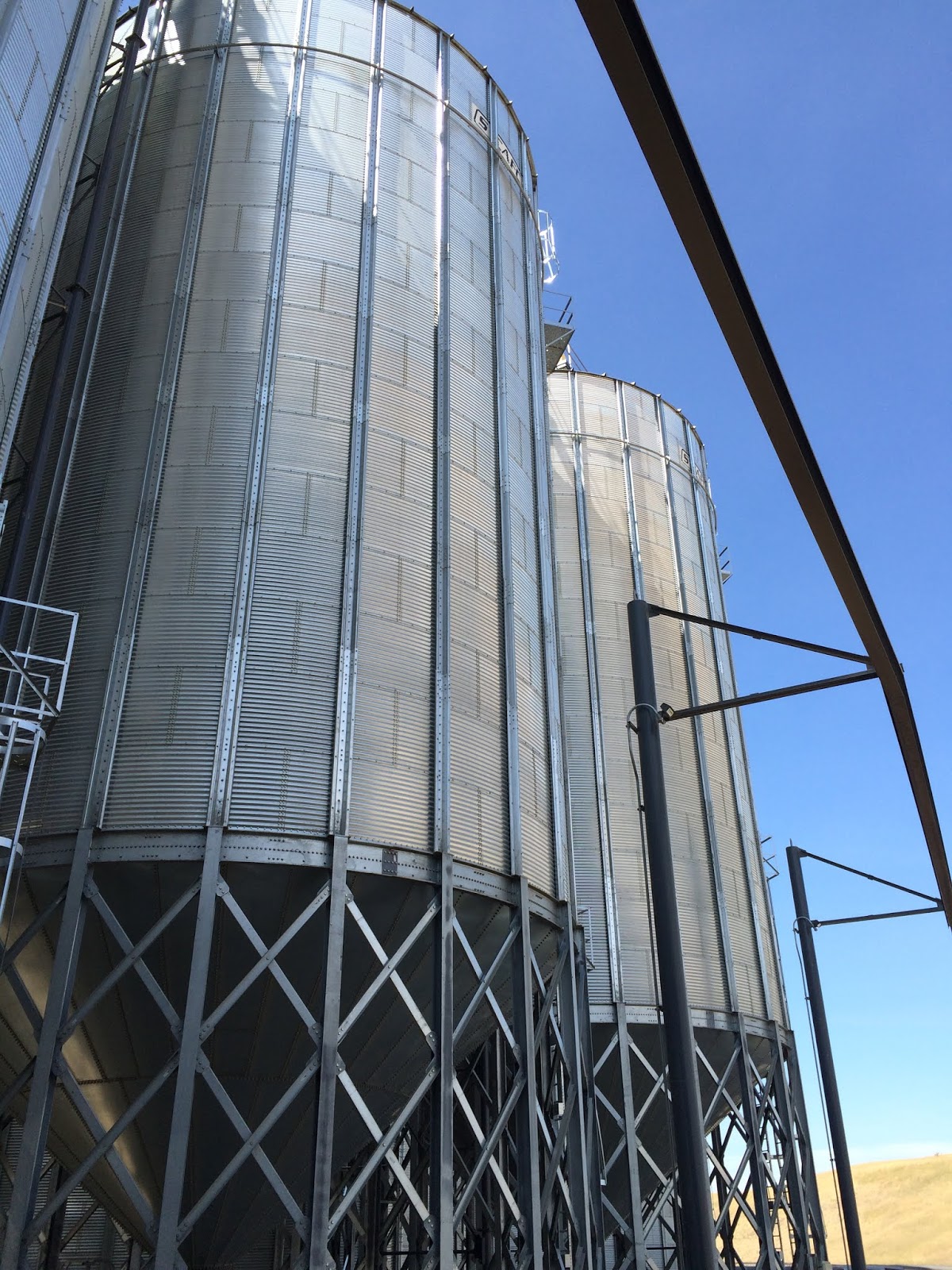 WSDA AgBriefs: Agriculture, more “essential” than ever