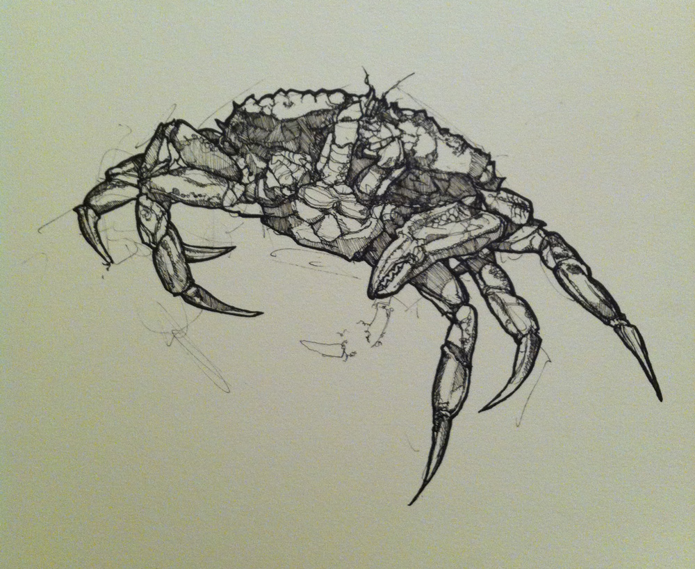 This and That - News and Updates From Artist Jon Shaw: Crustaceans, Ink ...