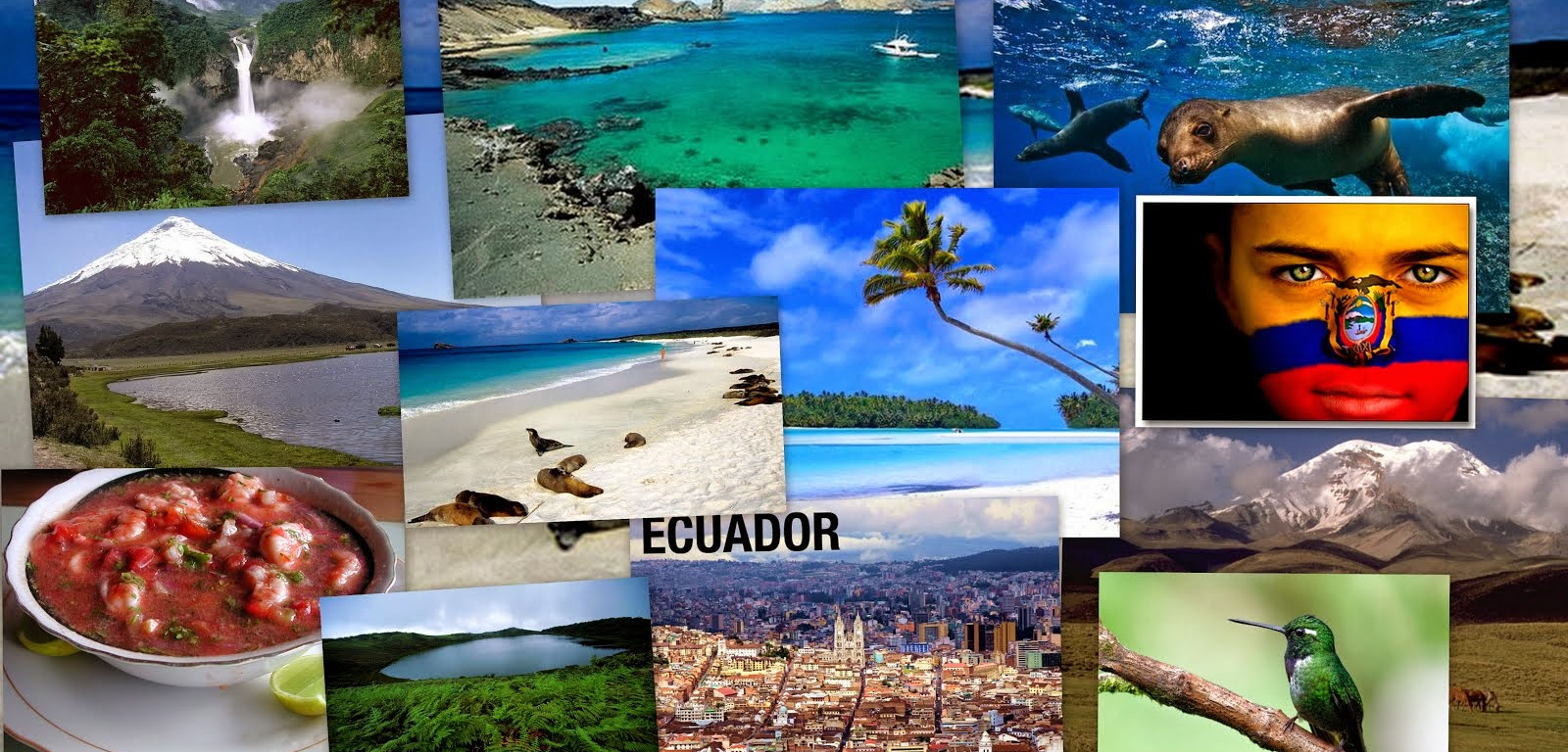 COMUNICÁNDONOS CON EL MUNDO DESDE ECUADOR UN PAÍS MEGADIVERSO Y ...