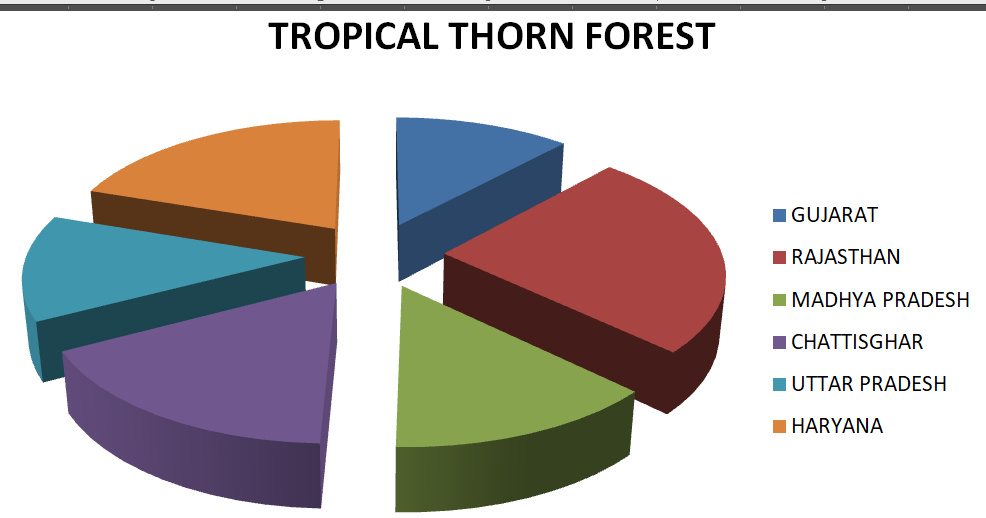 Tropical Thorn Forest