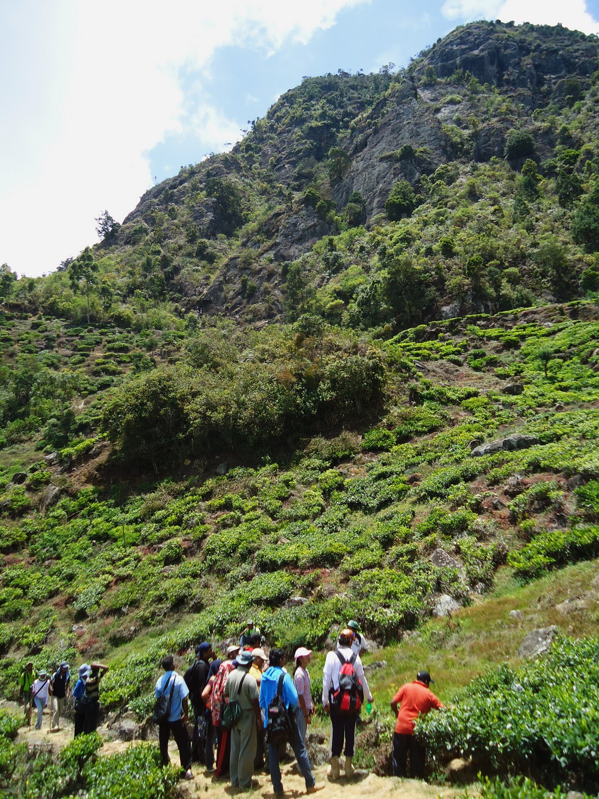 harithacharika - Travelling Nature in Sri Lanka: Haldummulla ( 3-Day ...