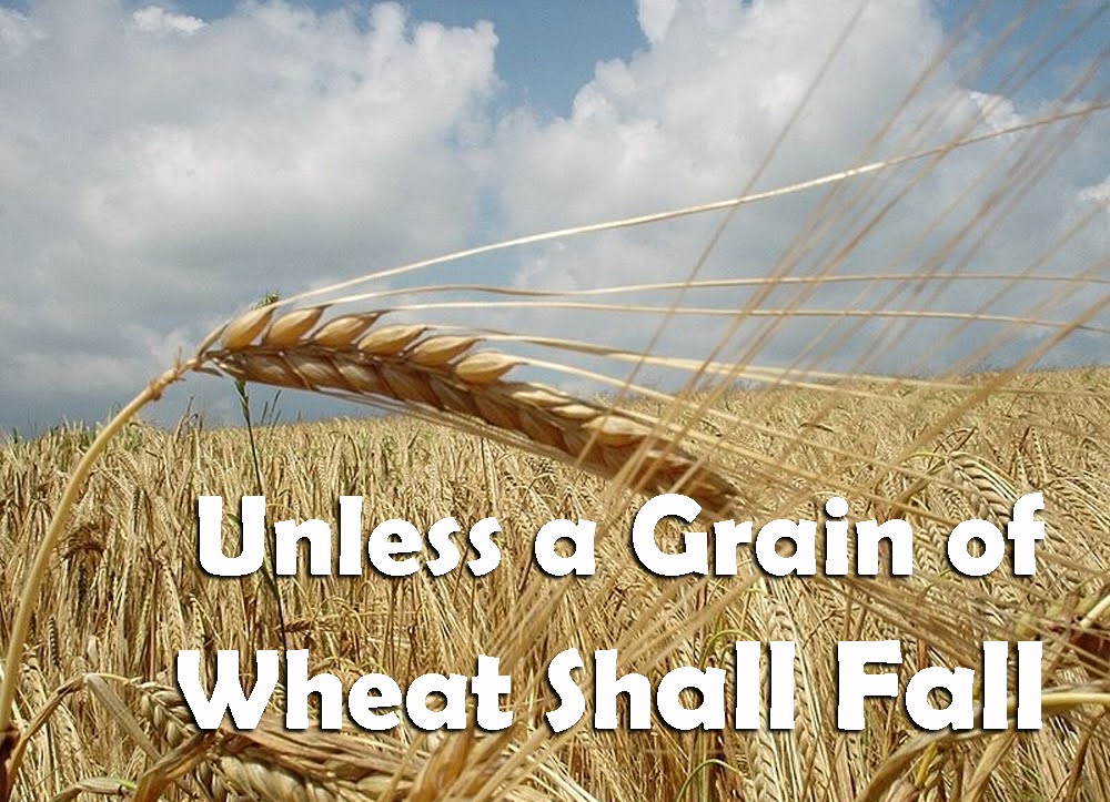 Unless a Grain of Wheat Shall Fall - Farrell | GodSongs.net