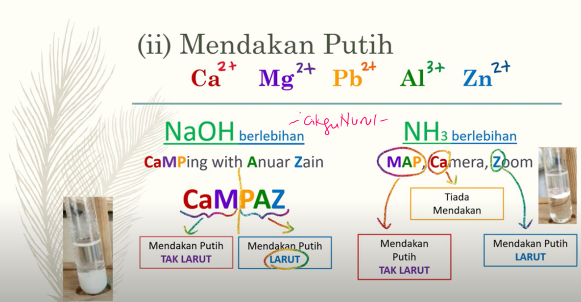 Cikgu Nurul : Tips Ujian Pengesahan Kation Garam