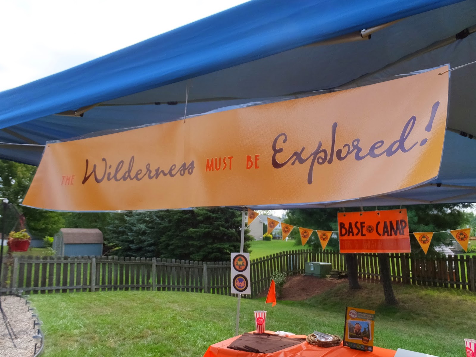 A Crafty Chick: Wilderness Explorer Birthday Party - Theming and Decorating