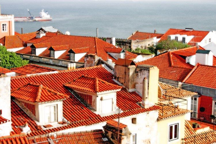 meus textos...... e ......sentimentos