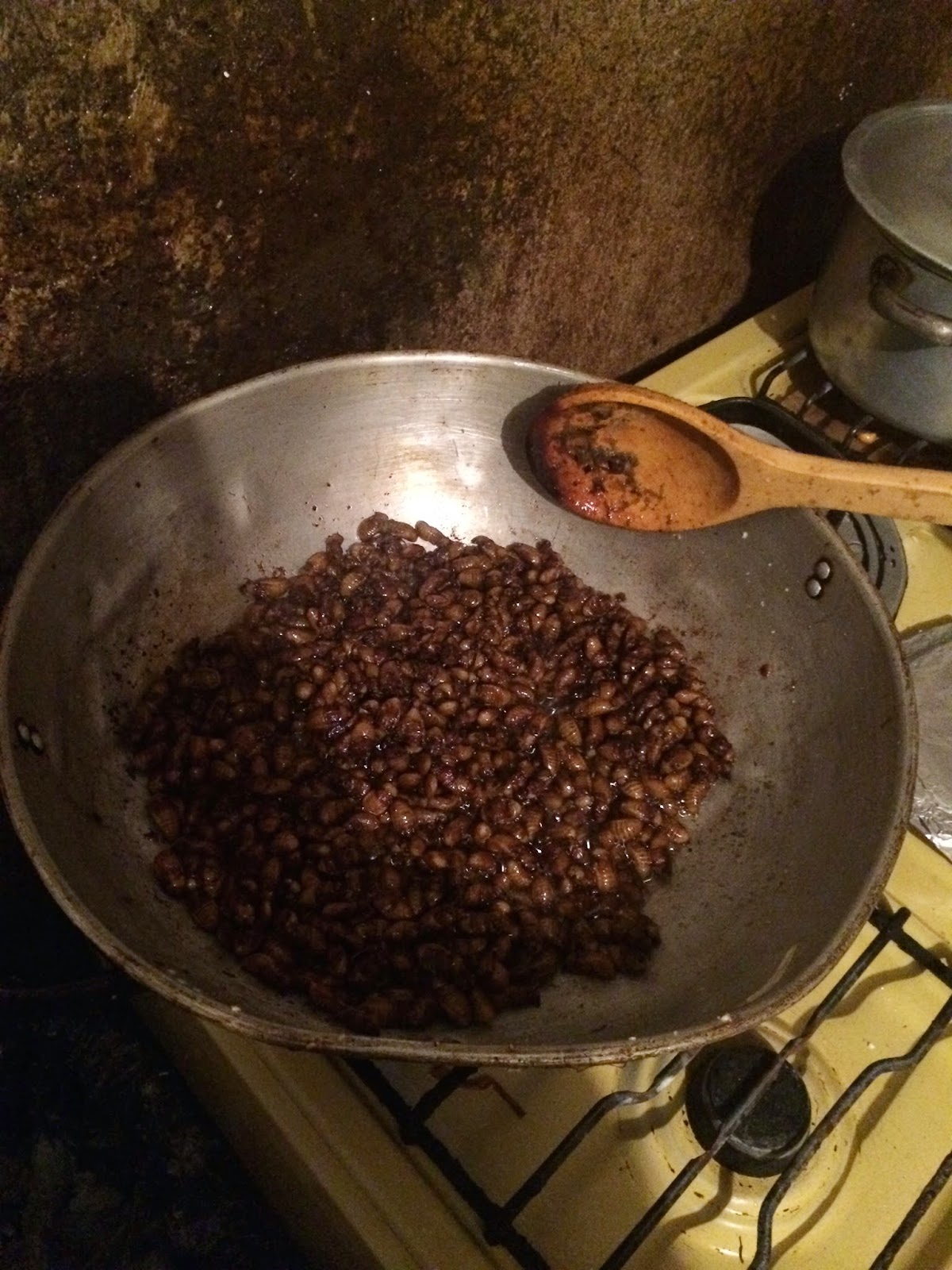 Esfuerzos en Ecuador: Estudio en el Extranjero: Producto 2: Los Catzos