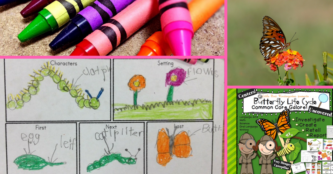 Informational Text: Butterfly Close Read - Little Bird Kindergarten