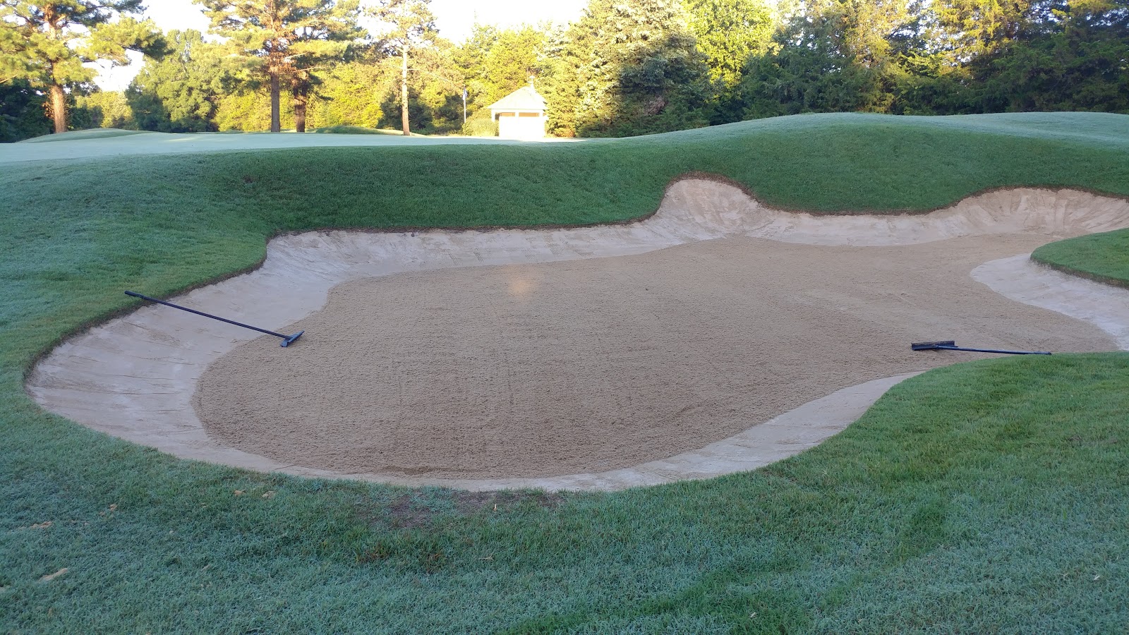 Sprigging is moving along