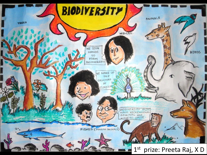 Environ: Poetry and poster-making contests