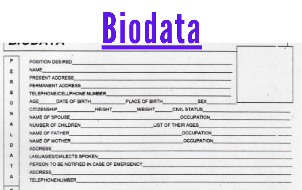 Bio data format for job application pdf | Sample contracts