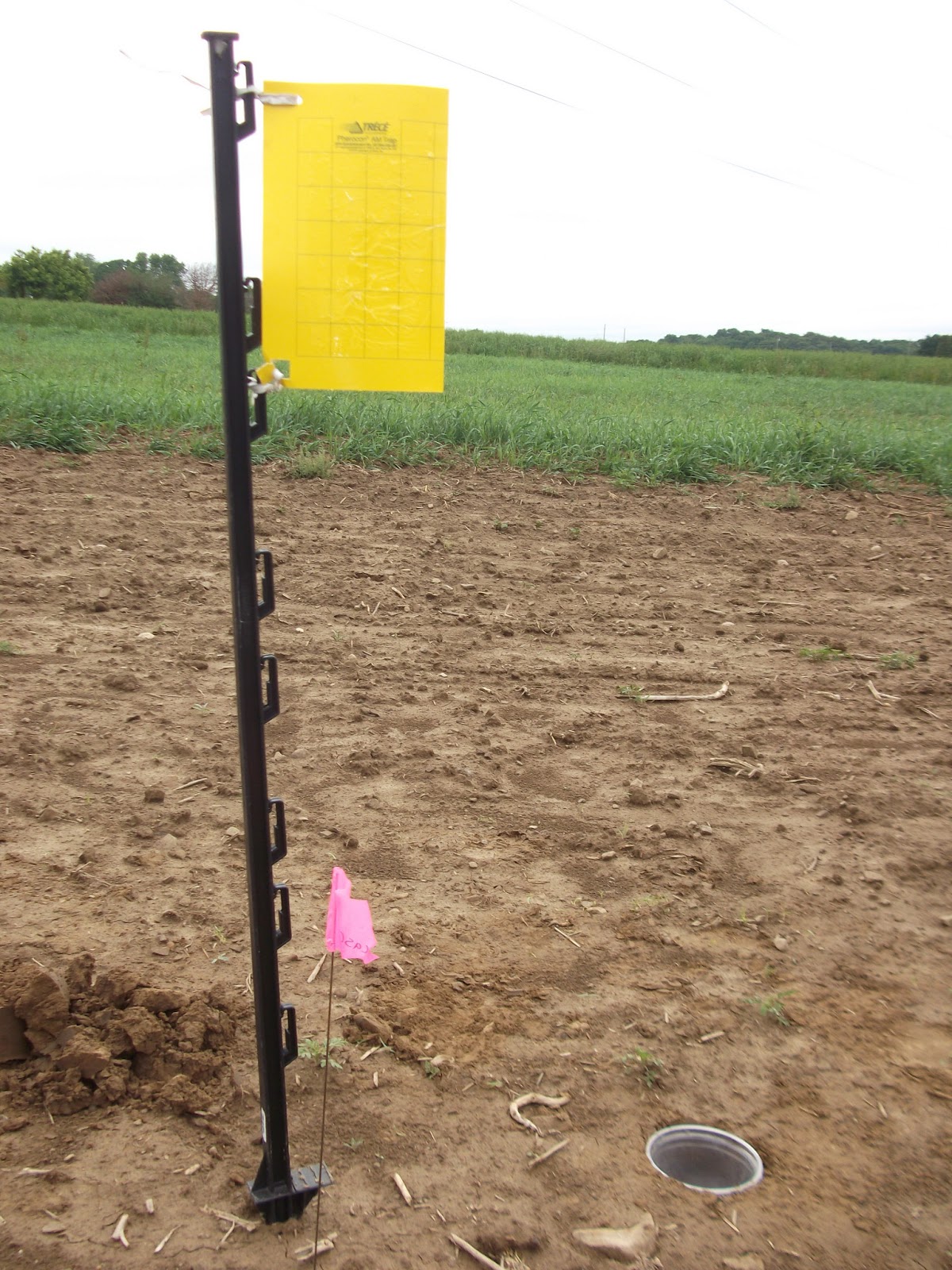 The Agricultural Landscape Ecology Lab: June 2013