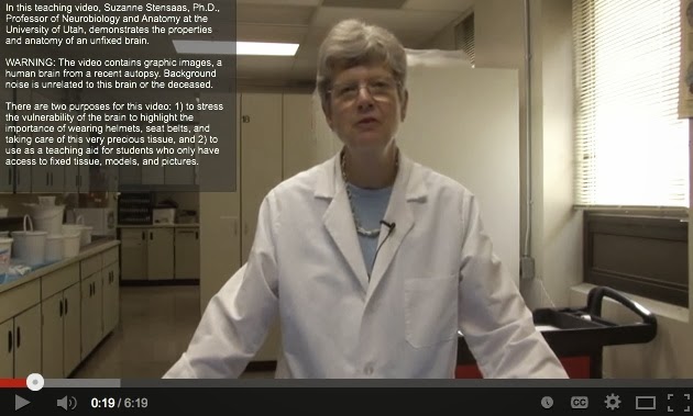 Teaching High School Psychology: 2013